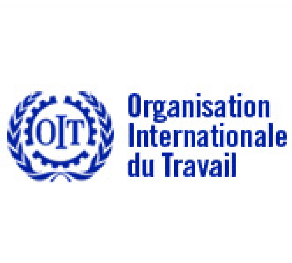 Sobhi MAHFOUDHI: RÉALISATIONS PROFESSIONNELLES